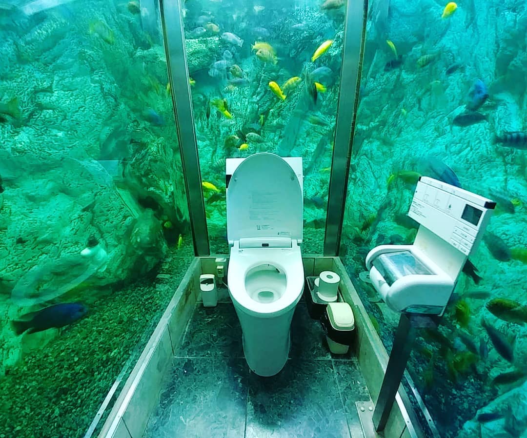 Kafe dengan Toilet ‘Under Water’ di Jepang Ini Habiskan Dana Hingga ...