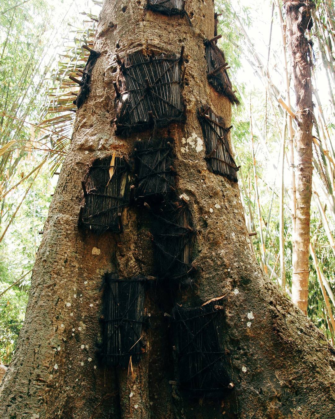 The Best Spots You Need to Visit in Tana Toraja