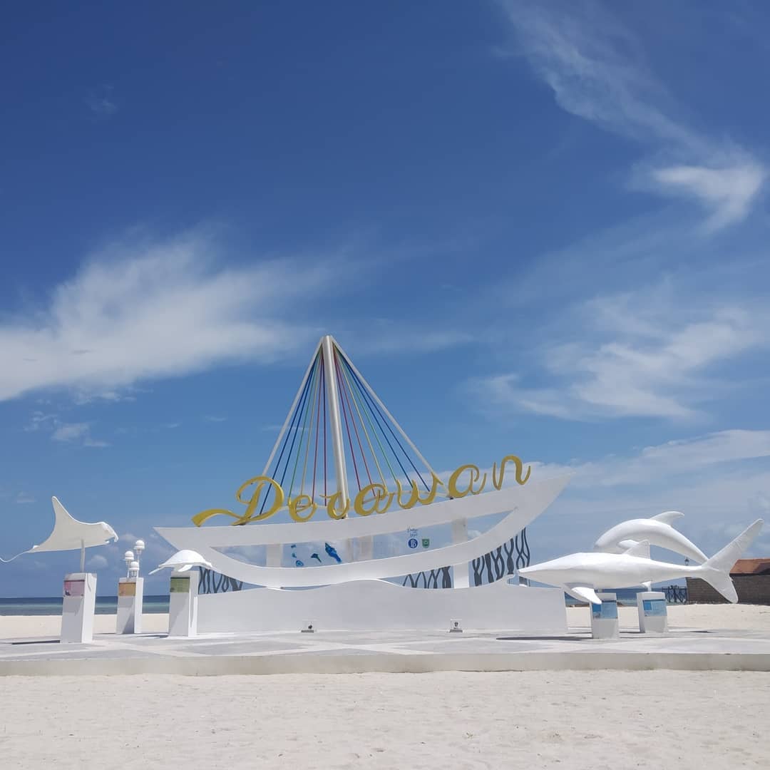Meet Rare Exotic Animals at the Magical Derawan Islands