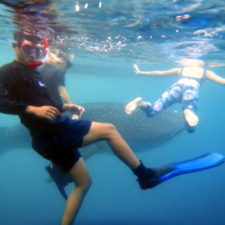 The Must-visit Spots in Saleh Bay, Sumbawa