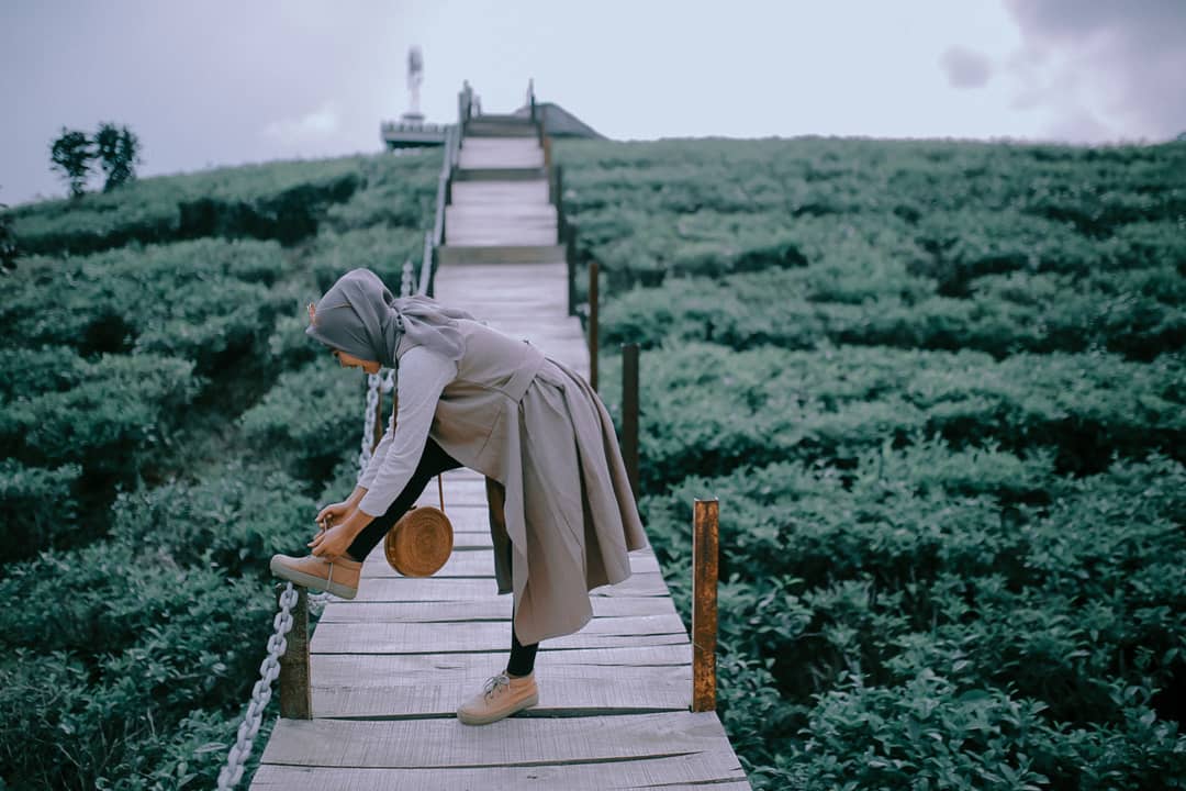 Potret Memesona Kebun Teh Gunung Gambir di Jember, Pesonanya Patut Diuber