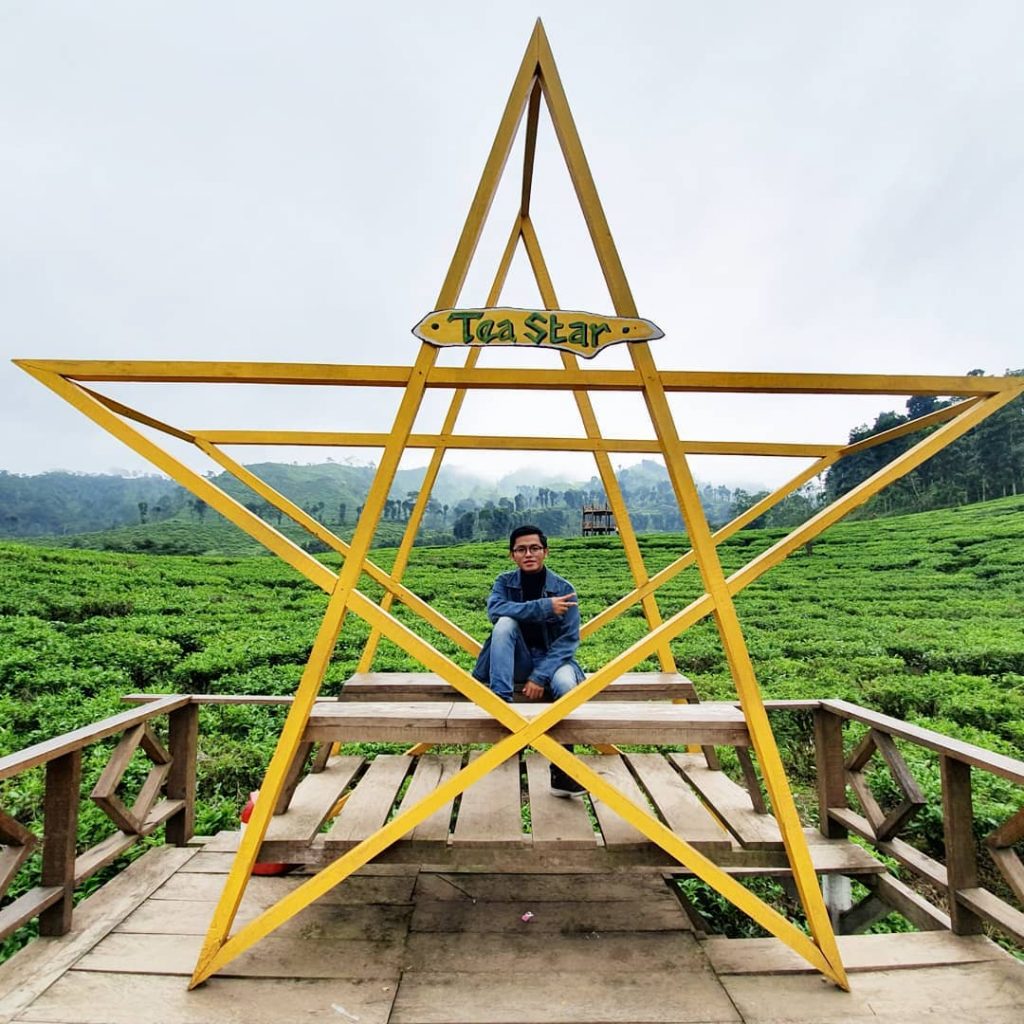 Potret Memesona Kebun Teh Gunung Gambir di Jember, Pesonanya Patut Diuber