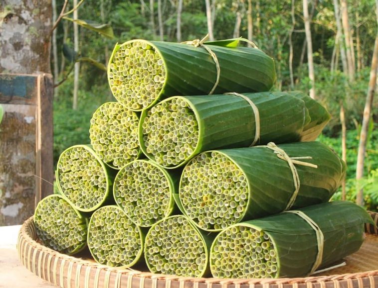 Selain Daun Kelapa, Inilah Ragam Sedotan dari Tumbuhan yang Pernah Dibuat