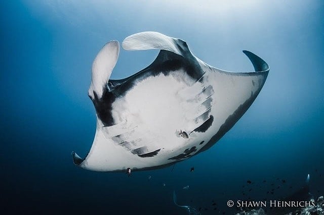 Lamakera, Surga NTT yang Dikunjungi Putra Raja Qatar