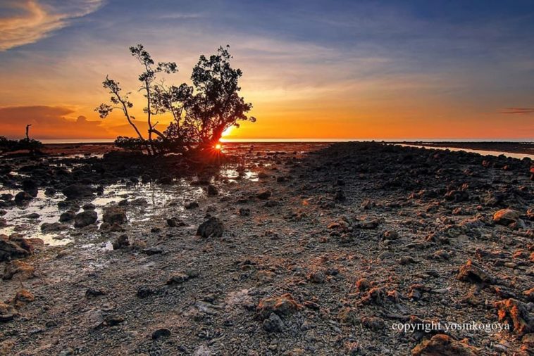 Exploring the Beaches in Nabire, a Paradise at Cenderawasih Bay