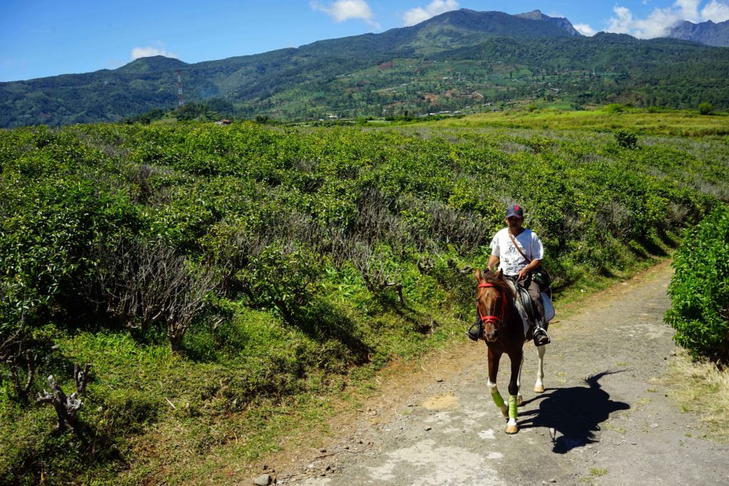 Malino Highlands, Wisata Paket Lengkap yang Ada di Makassar