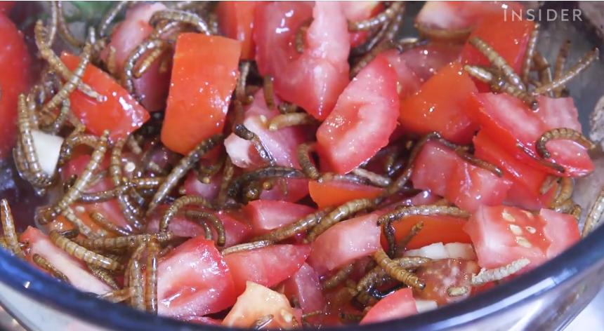 Burger Serangga dari Larva Ulat, Ada yang Minat?