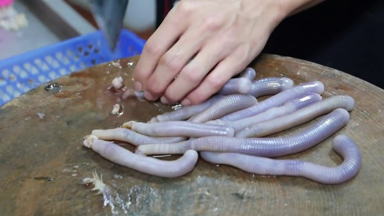 Kuliner Cacing dari Penjuru Dunia, Bikin Geli Tapi Banyak Peminat