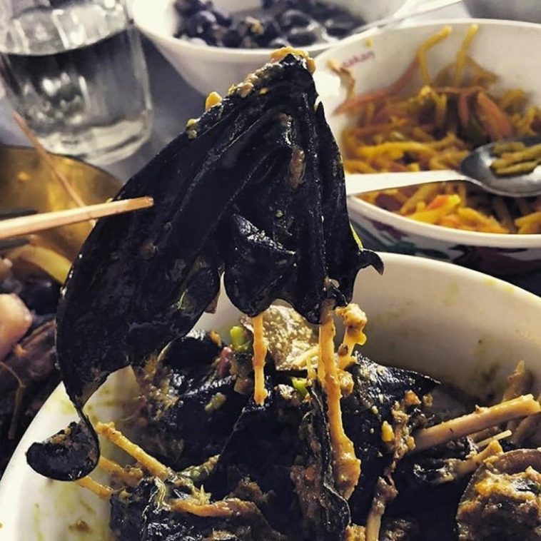 Enjoying Unusual Dishes from Palangkaraya