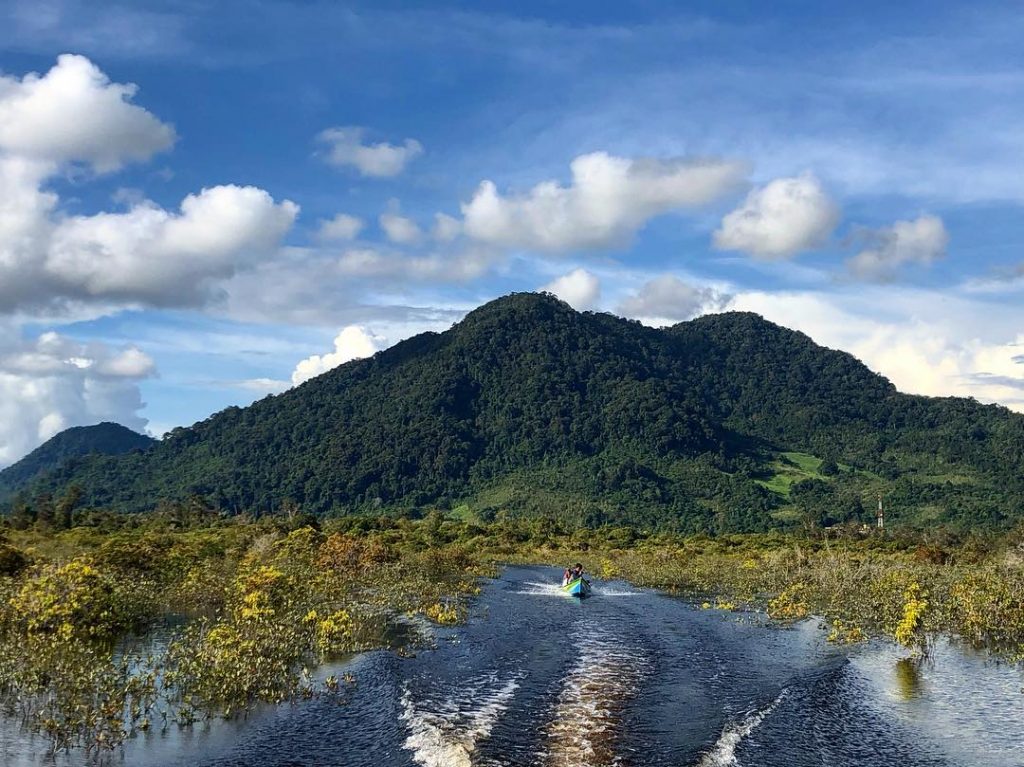 Sentarum Lake, a Seasonal Wonder in West Kalimantan
