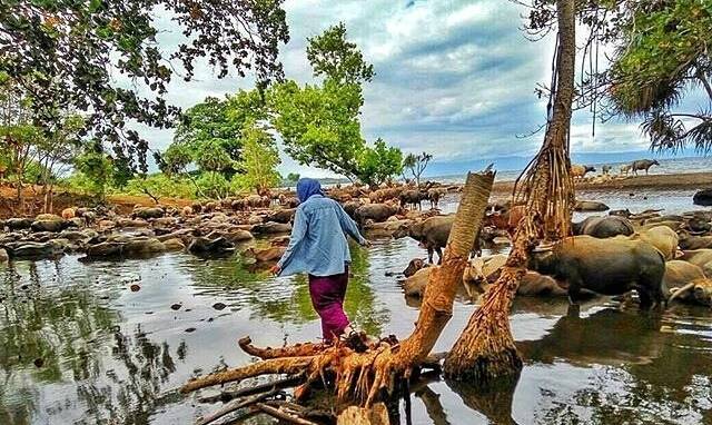 Deretan Pantai di Dompu, Mana yang Ingin Kamu Kunjungi?