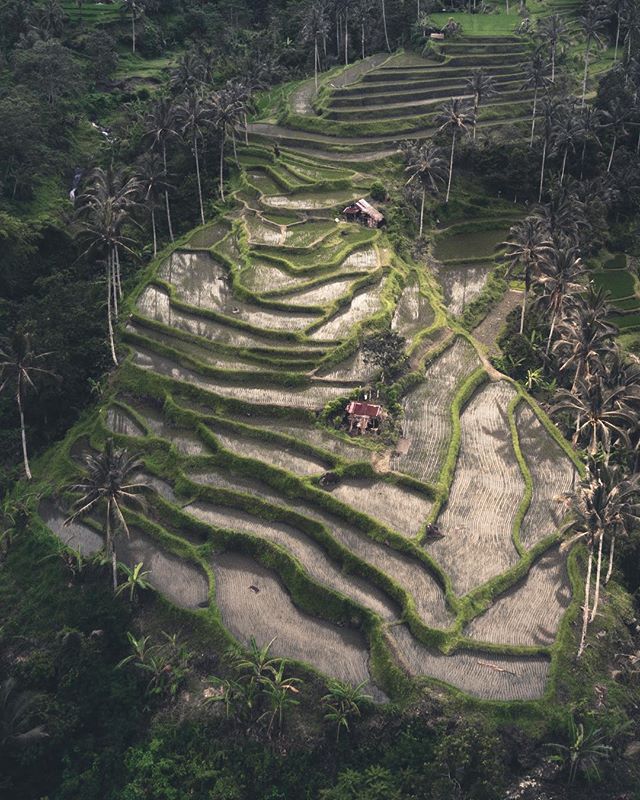 Terasiring Indah di Bali yang Sempurna untuk Lokasi Preweddingmu, Mana ...