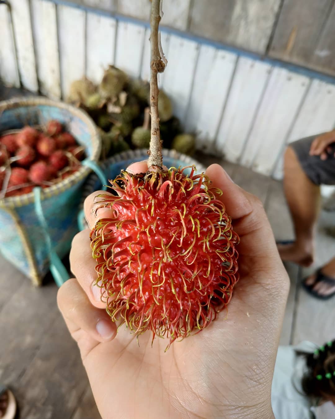 5 Jenis Rambutan di Indonesia, Victoria Beckham Suka Banget!
