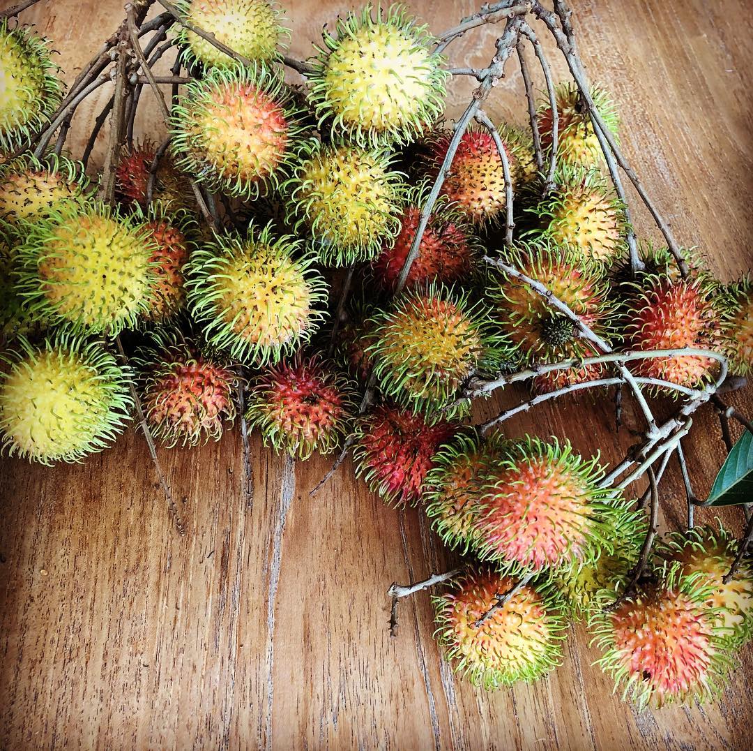 5 Jenis Rambutan di Indonesia, Victoria Beckham Suka Banget!