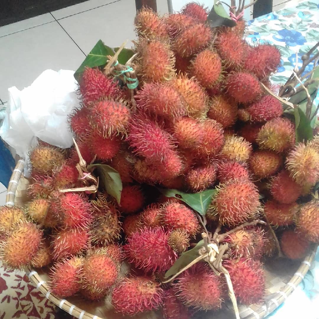 5 Jenis Rambutan di Indonesia, Victoria Beckham Suka Banget!