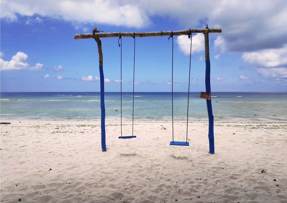 Aktivitas Seru di Pantai Tanjung Waka, Melihat Penyu Hijau