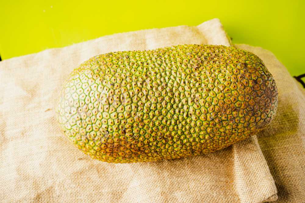 4 Fakta Cempedak, Kembaran Nangka yang Enaknya Meledak