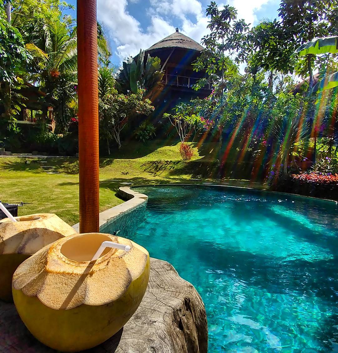 8 Staycation Dekat Hutan di Bali, Ubah Stres Jadi Fresh!