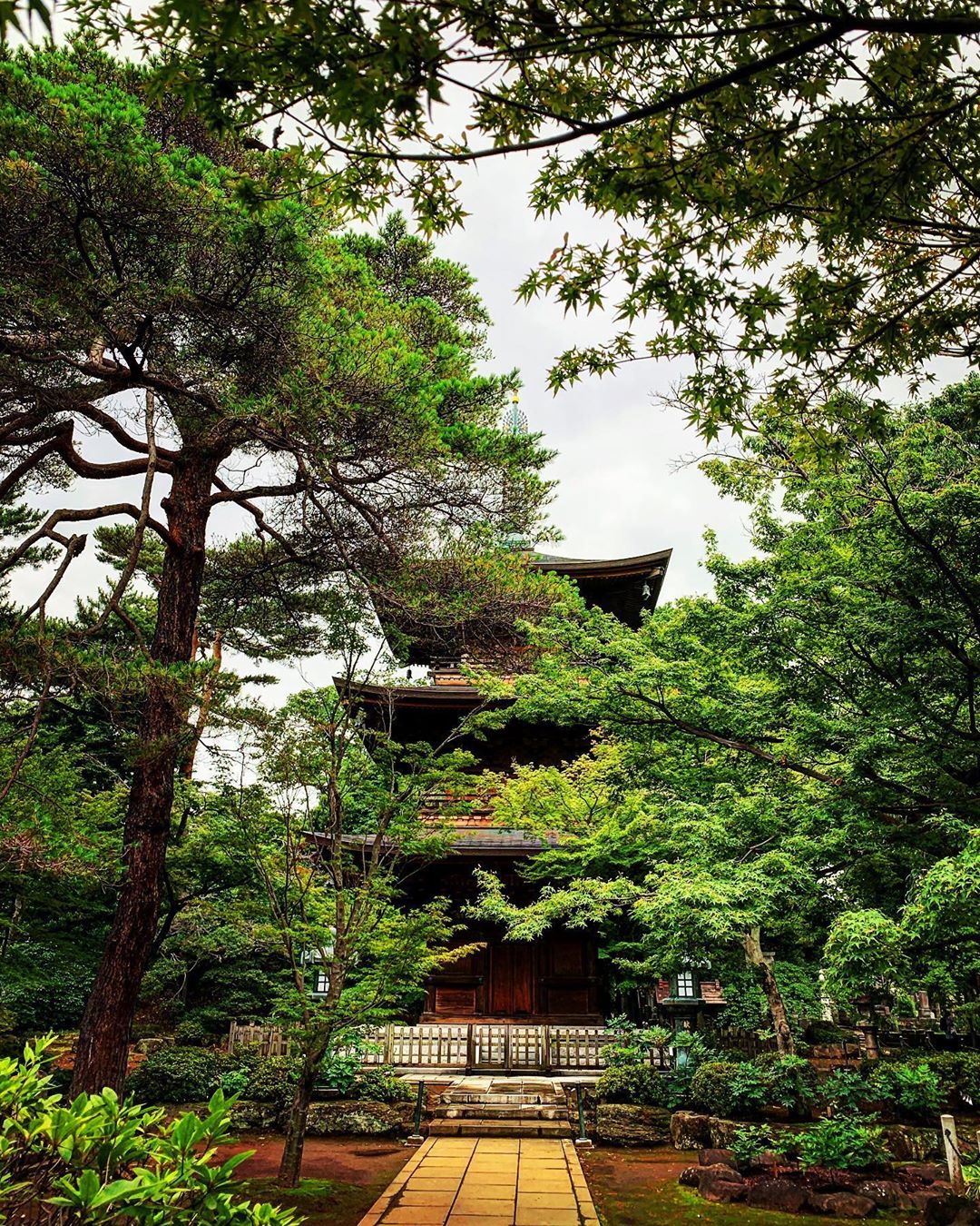 Gotokuji, Kuil Kucing Jepang yang Dipercaya Bawa Keberuntungan!