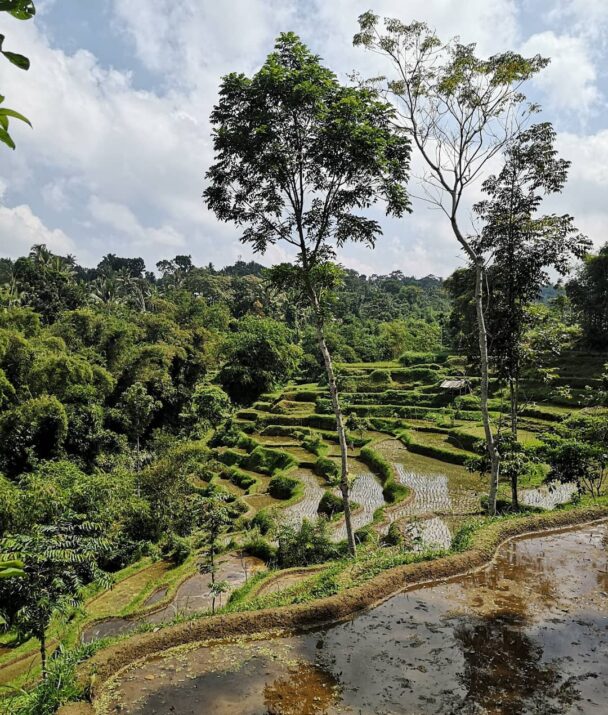 Tetebatu, ‘Little Ubud’ Bali di Kaki Gunung Rinjani!