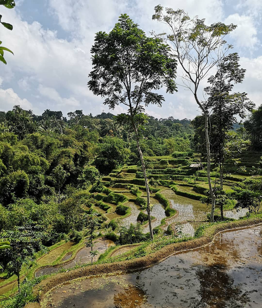 Tetebatu, ‘Little Ubud’ Bali di Kaki Gunung Rinjani!