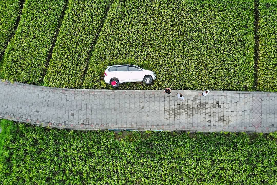 Shortcut Canggu, Jalan Legendaris yang Sering Bikin Turis Nyemplung