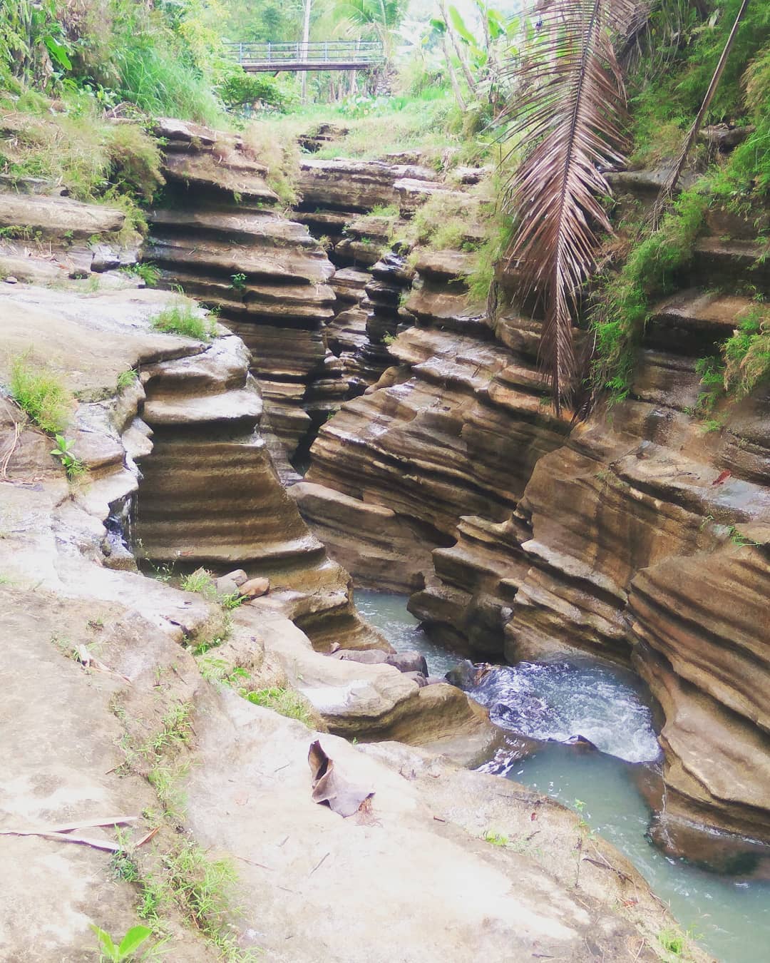 Curug Lumbung, Keindagan Alam Purworejo yang Bikin Melongo
