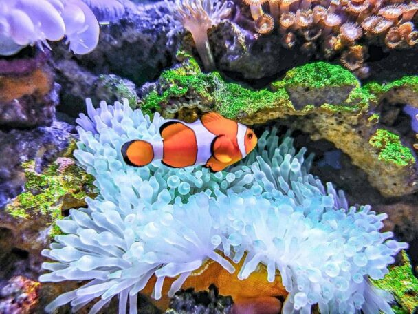 Point Nemo, Lokasi yang Paling Sulit Dikunjungi Manusia Bumi