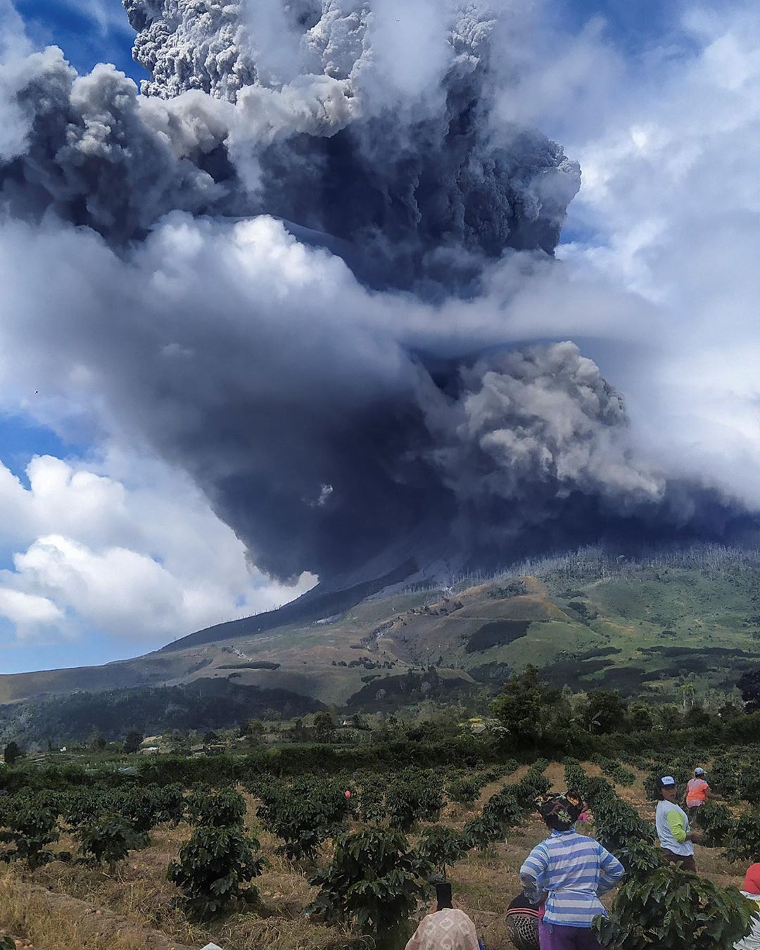 5 Kali Lebih Besar! Efek Letusan Gunung Sinabung Diperkirakan Sampai Medan
