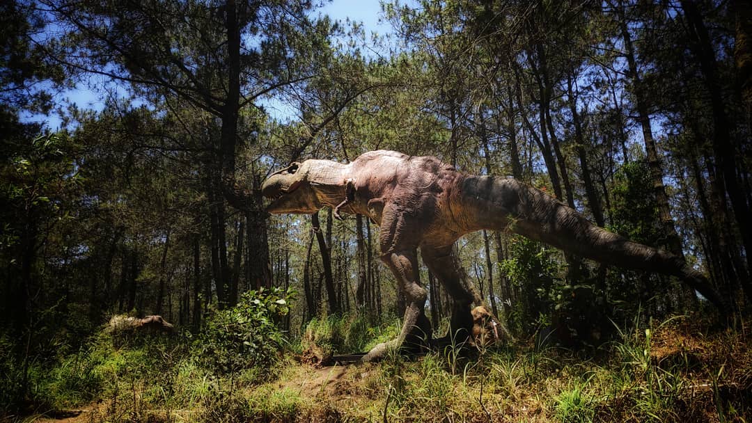 Viral! Video Dinosaurus Triceratops Hidup Kembali