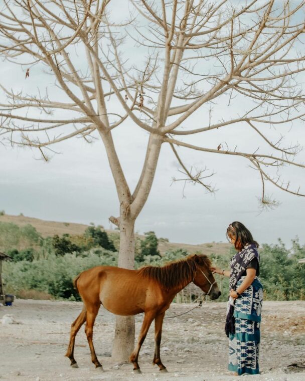 Jelajah Aneka Padang Rumput di NTT yang Jadi Spot Foto Instagenik