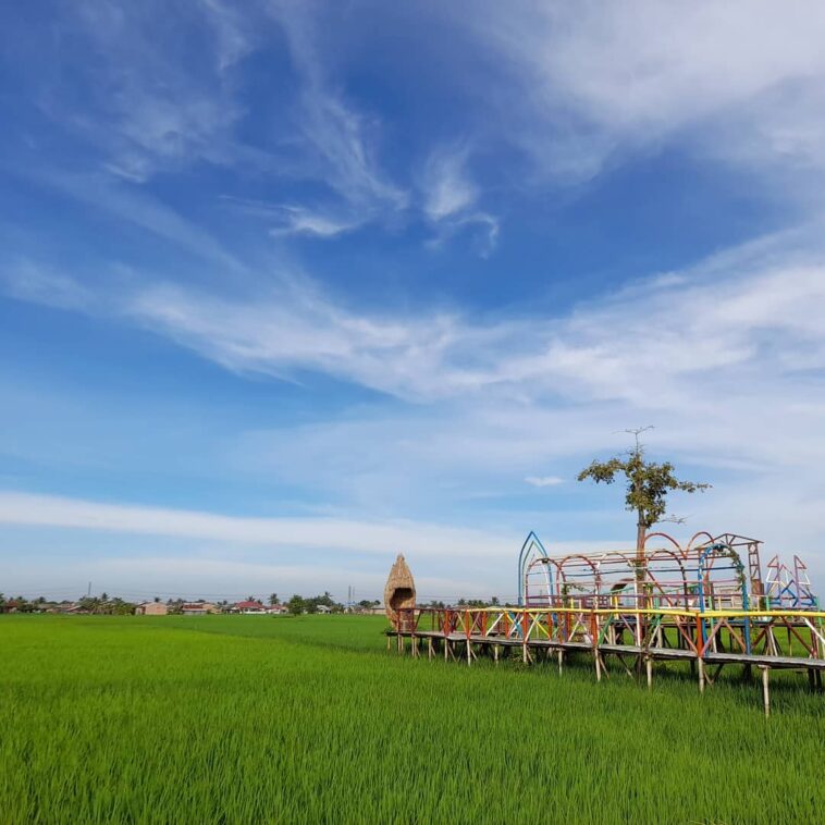Eksplorasi Wisata Sawah di Indonesia