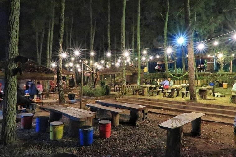 Menikmati Rindangnya Hutan Pinus di Omah Akar Cafe Malang