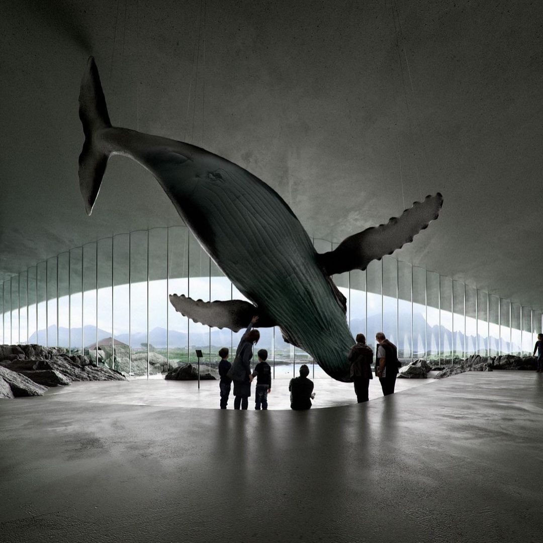 The Whale Museum di Norwegia, Miliki Bangunan Mirip Sirip Paus