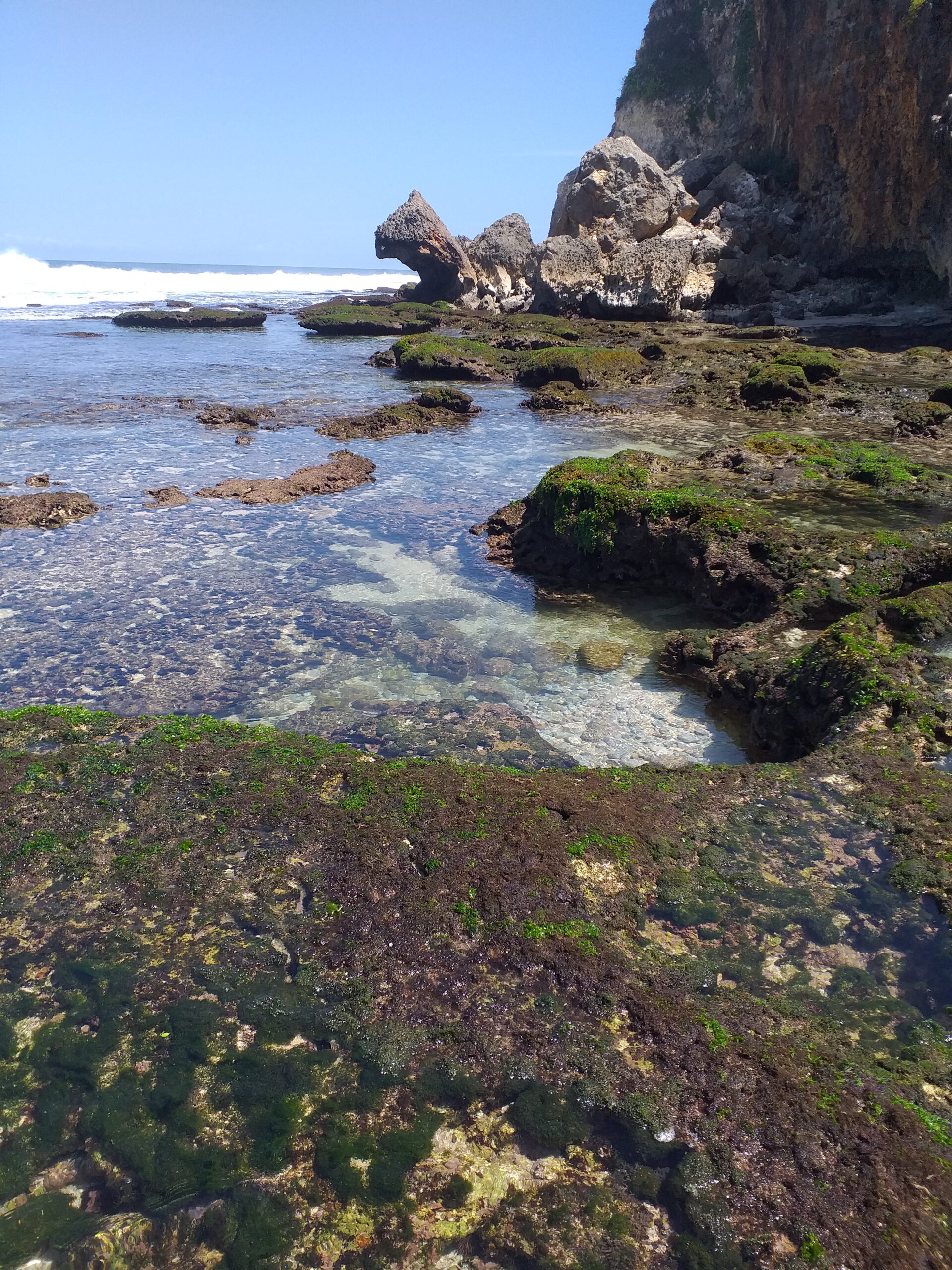 Pantai Nguyahan, Pantai Mungil dari Gunungkidul