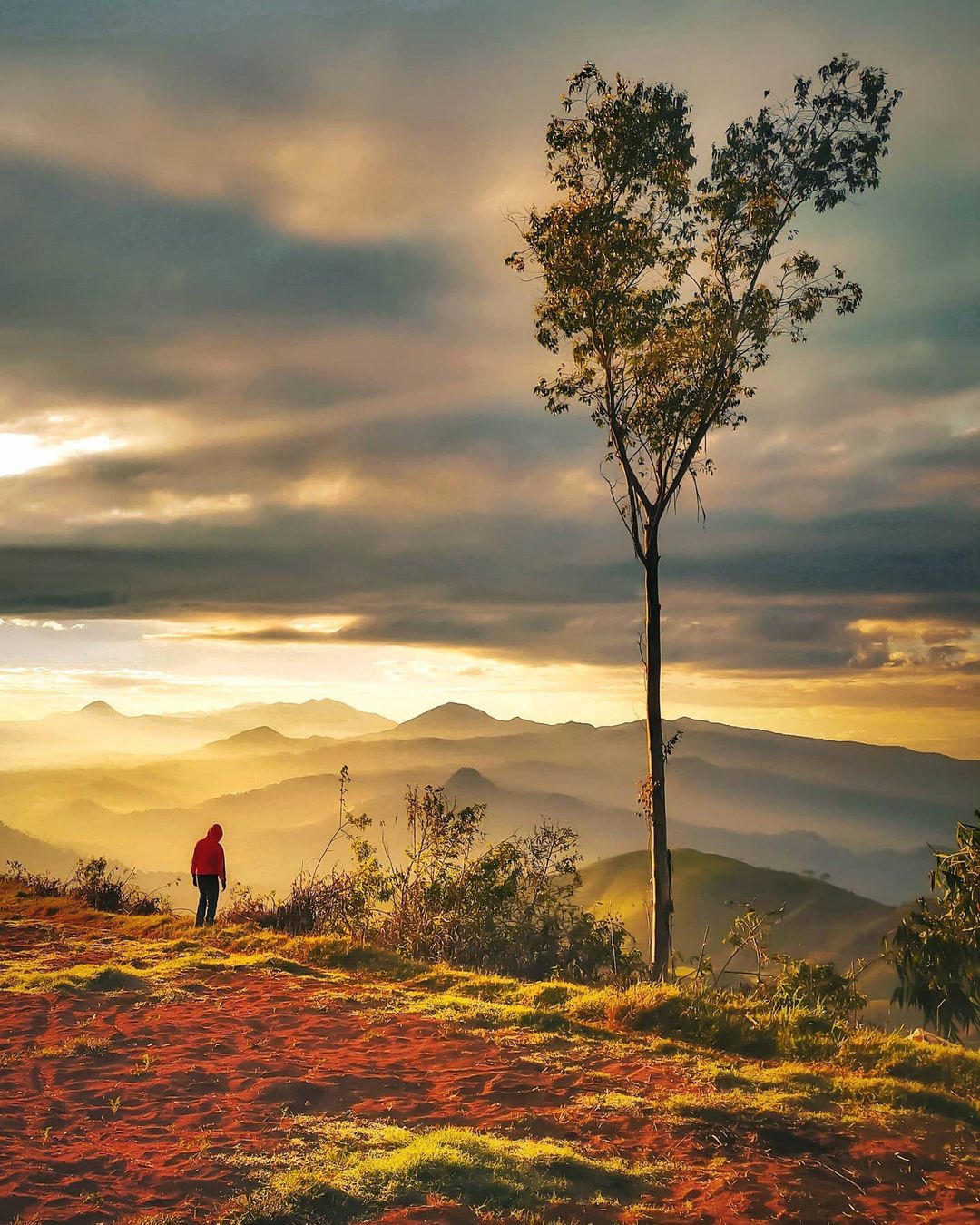 Taman Langit Pangalengan di Bandung, Lokasi Melihat Sunrise dan Sunset ...