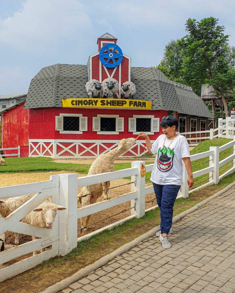 Cimory Dairyland Prigen Pasuruan, Wisata Edukasi Keluarga Dengan View ...
