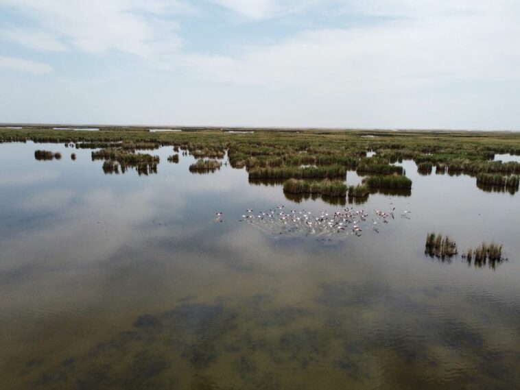 Aral Sea Danau Terbesar Keempat di Dunia yang Kering Tanpa Air