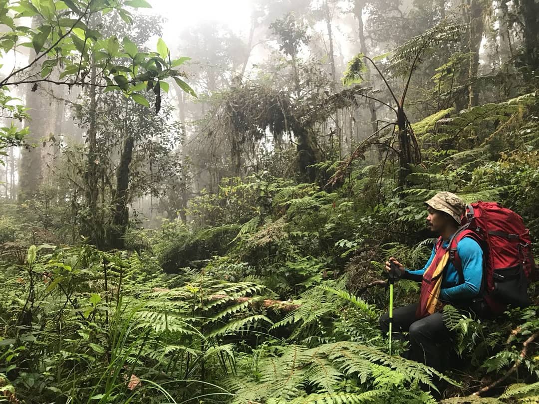 Gunung Patah di Bengkulu Memiliki Jalur Pendakian Ekstrem dan Rumah ...