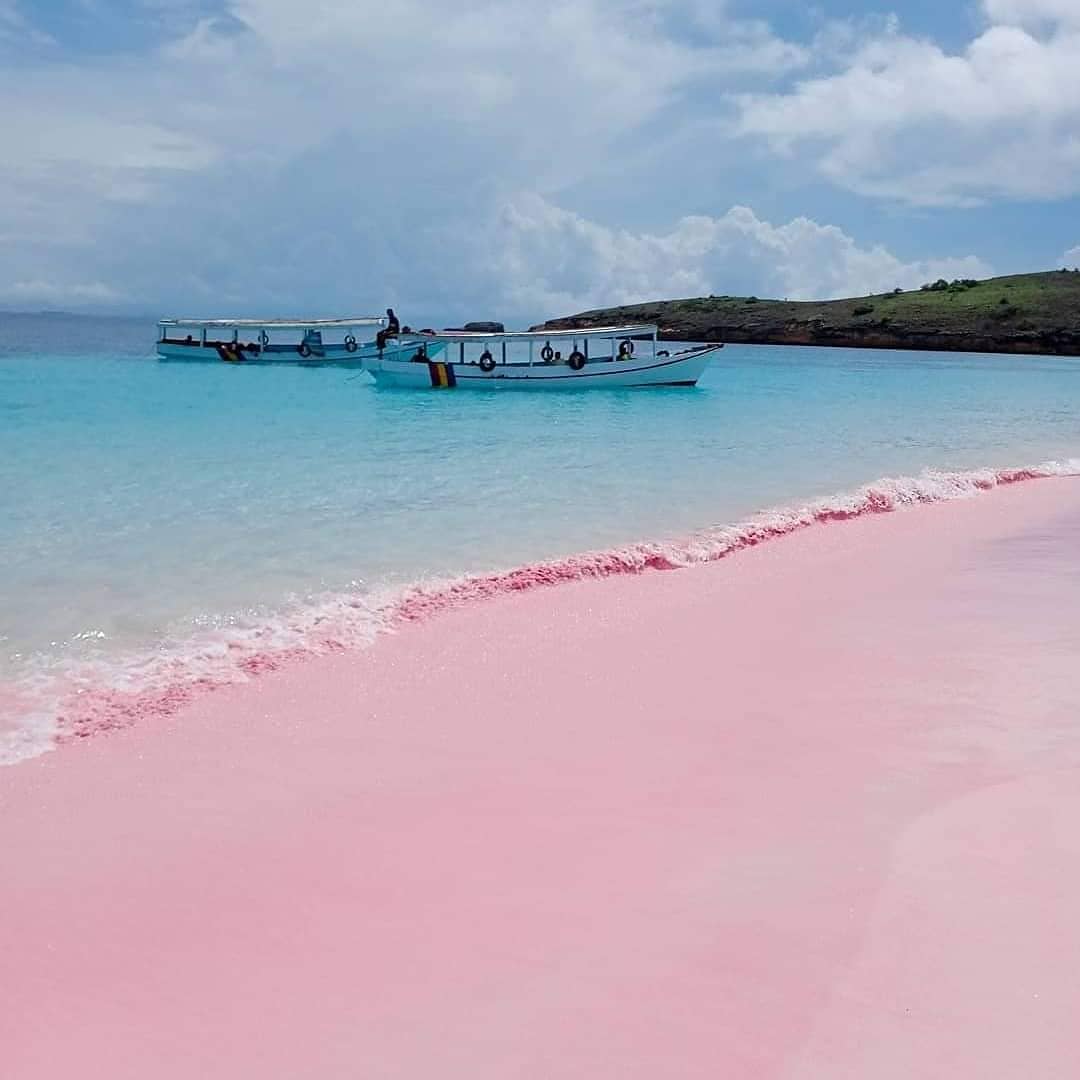 Pantai Pink Labuan Bajo, Wajib Didatangi Saat ke NTT