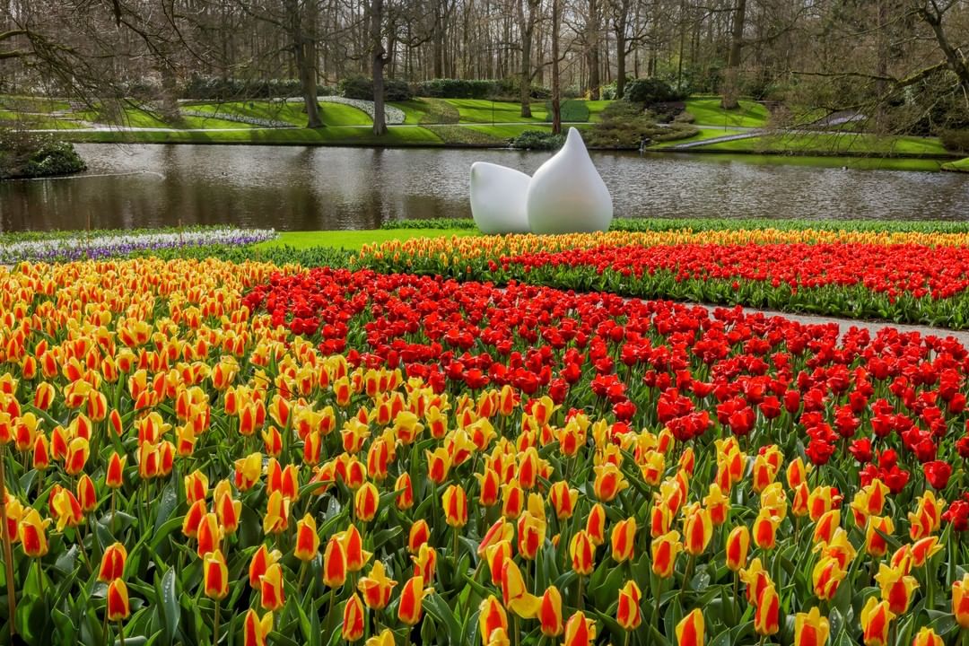 4 Taman Bunga Indah di Dunia, Bak Negeri Dongeng