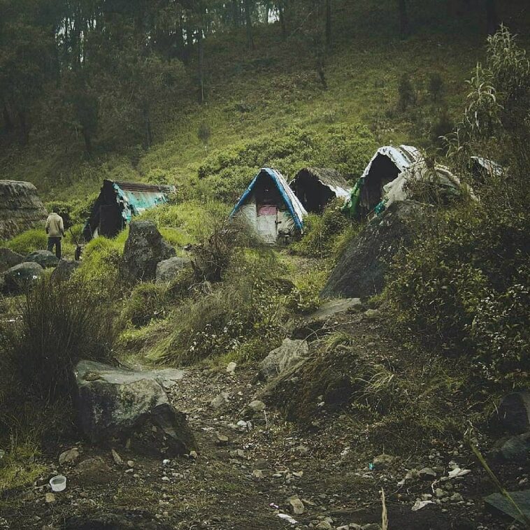 Gunung Arjuno, Menyimpan Sejuta Keindahan di Sepanjang Pendakian