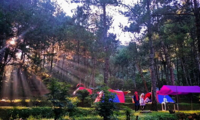 Camping Ground di Curug Naga Bogor, Menikmati Indahnya Alam Bersama ...