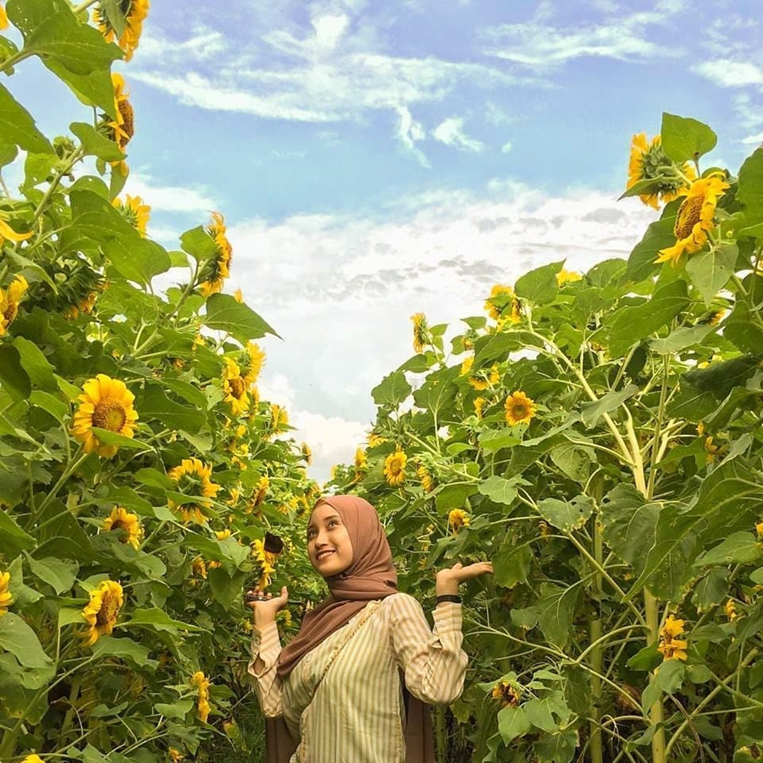 Wisata Kebun Bunga di Jawa Timur, Cantik Untuk Spot Swafoto Instagenik