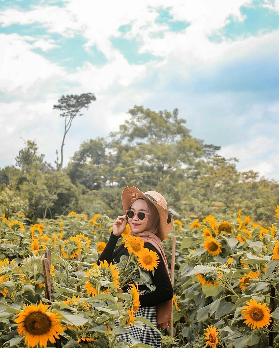 Wisata Kebun Bunga di Jawa Timur, Cantik Untuk Spot Swafoto Instagenik