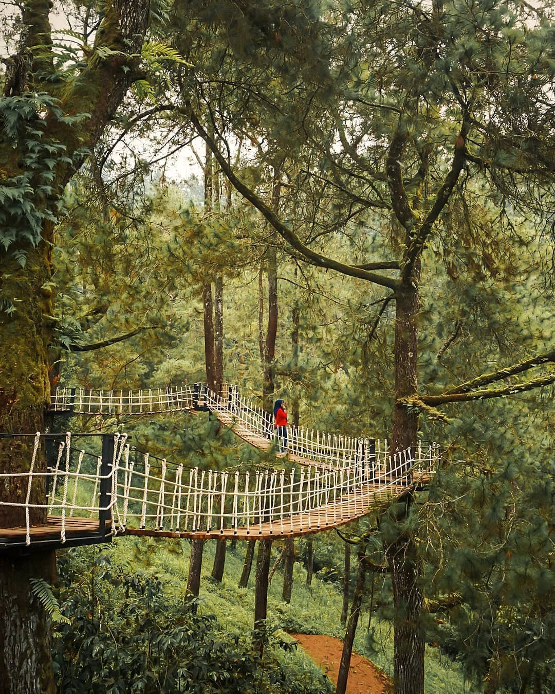 4 Wisata di Pasuruan Jawa Timur yang Instagramable Cocok Untuk Pemburu ...