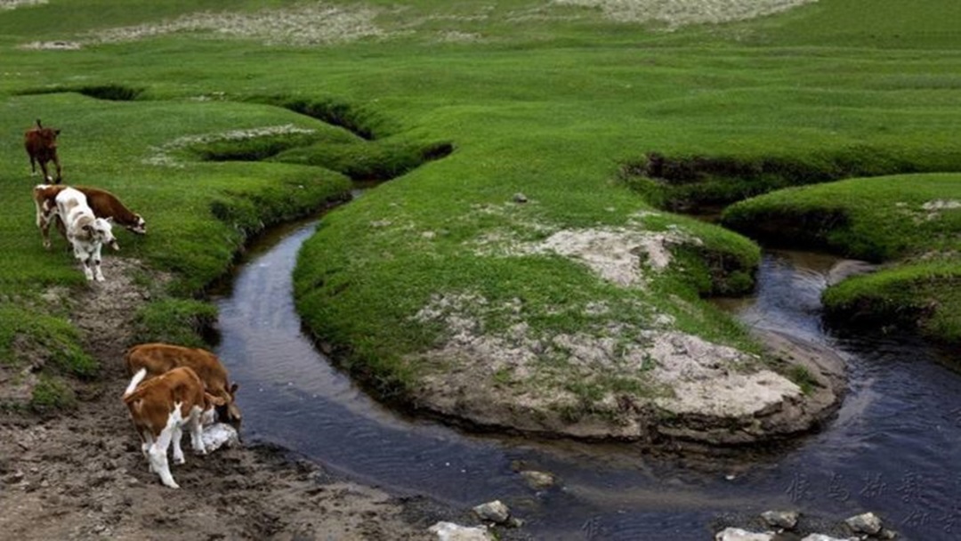 Sungai Hualai di China, Sungai Tersempit di Dunia Hanya 15 Sentimeter