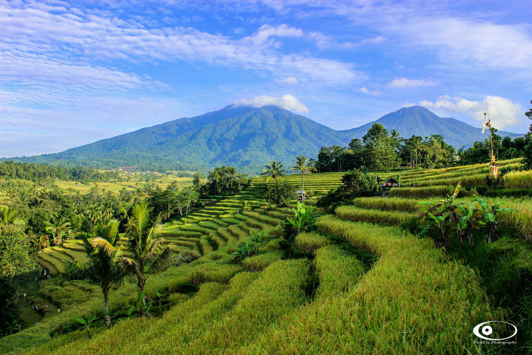 Nikmati Kesegaran Berendam di Babahan Crystal Water Tabanan