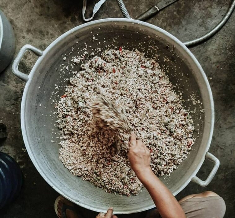 Nikmatnya Nasi Megono, Kuliner Khas Pantura Jawa Tengah