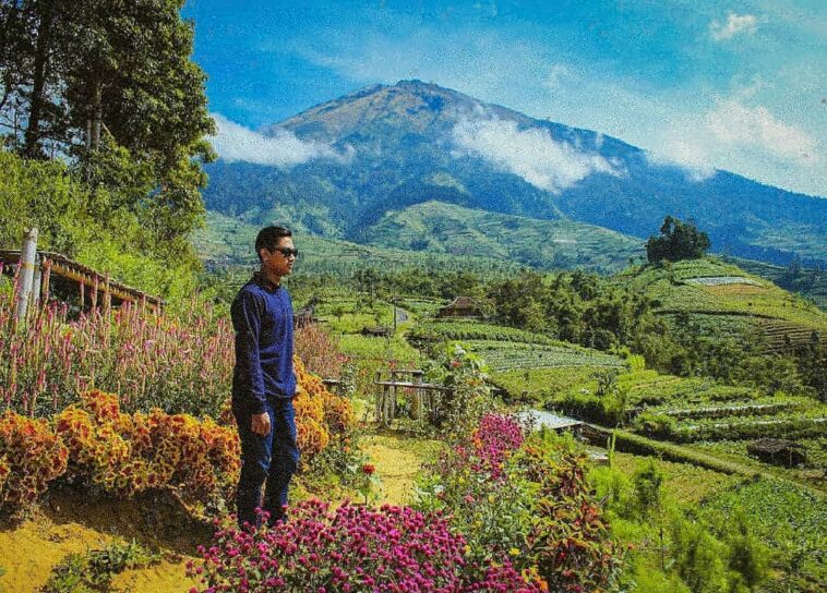 Tawarkan Sunrise Menakjubkan, Silancur Highland Magelang Bak Taman Surga